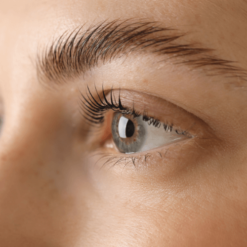 Traning lash lifting and eyebrows lamination – SAISAC SHOP